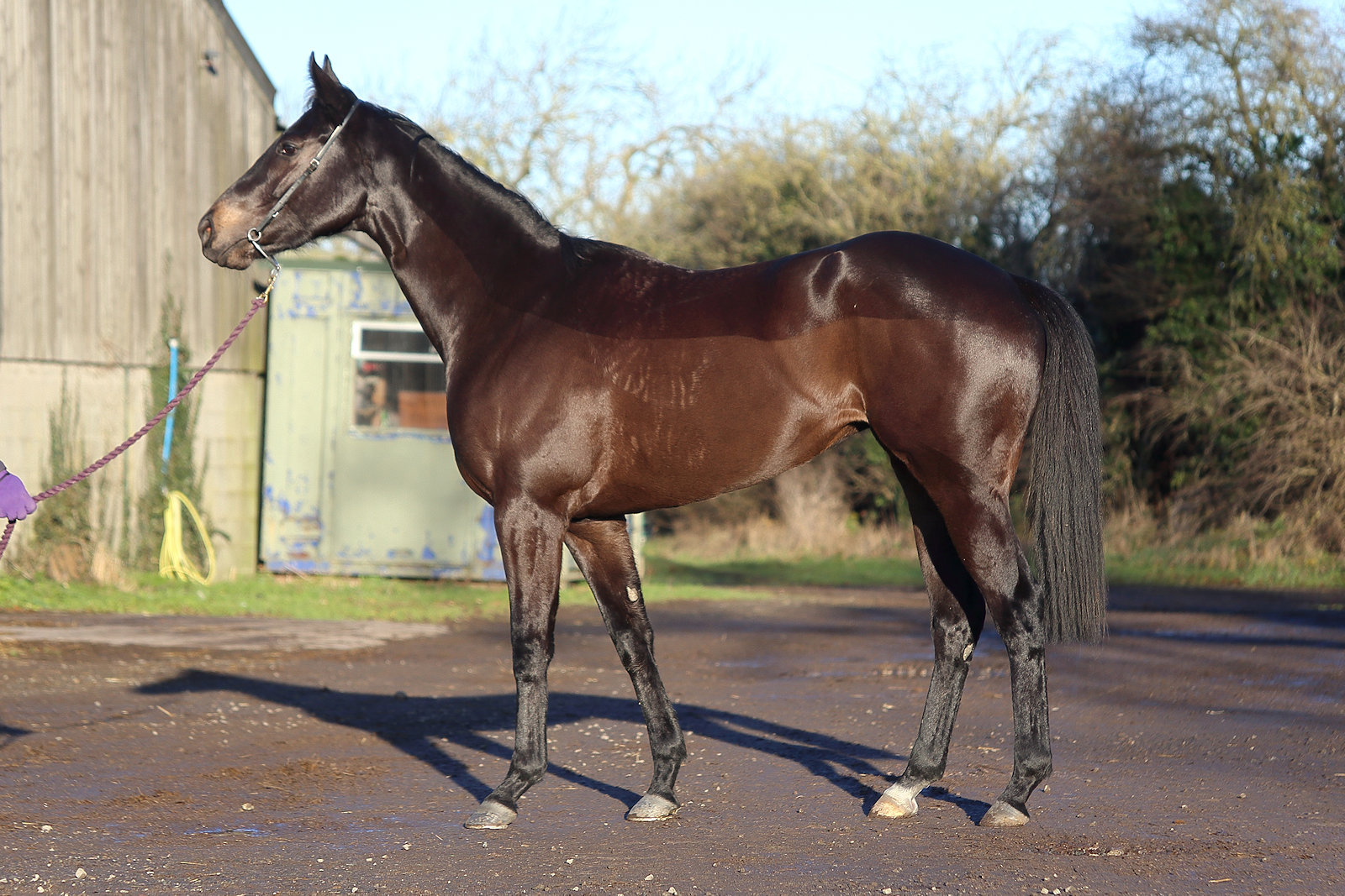 Mick & David Easterby