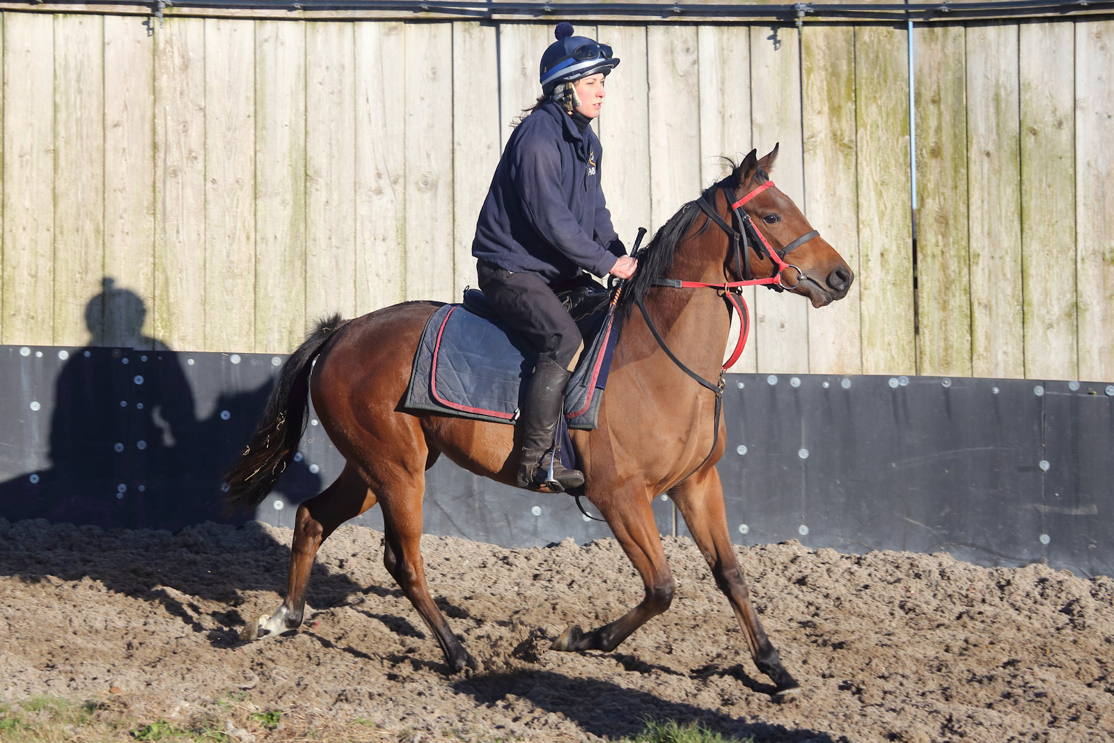 Mick & David Easterby