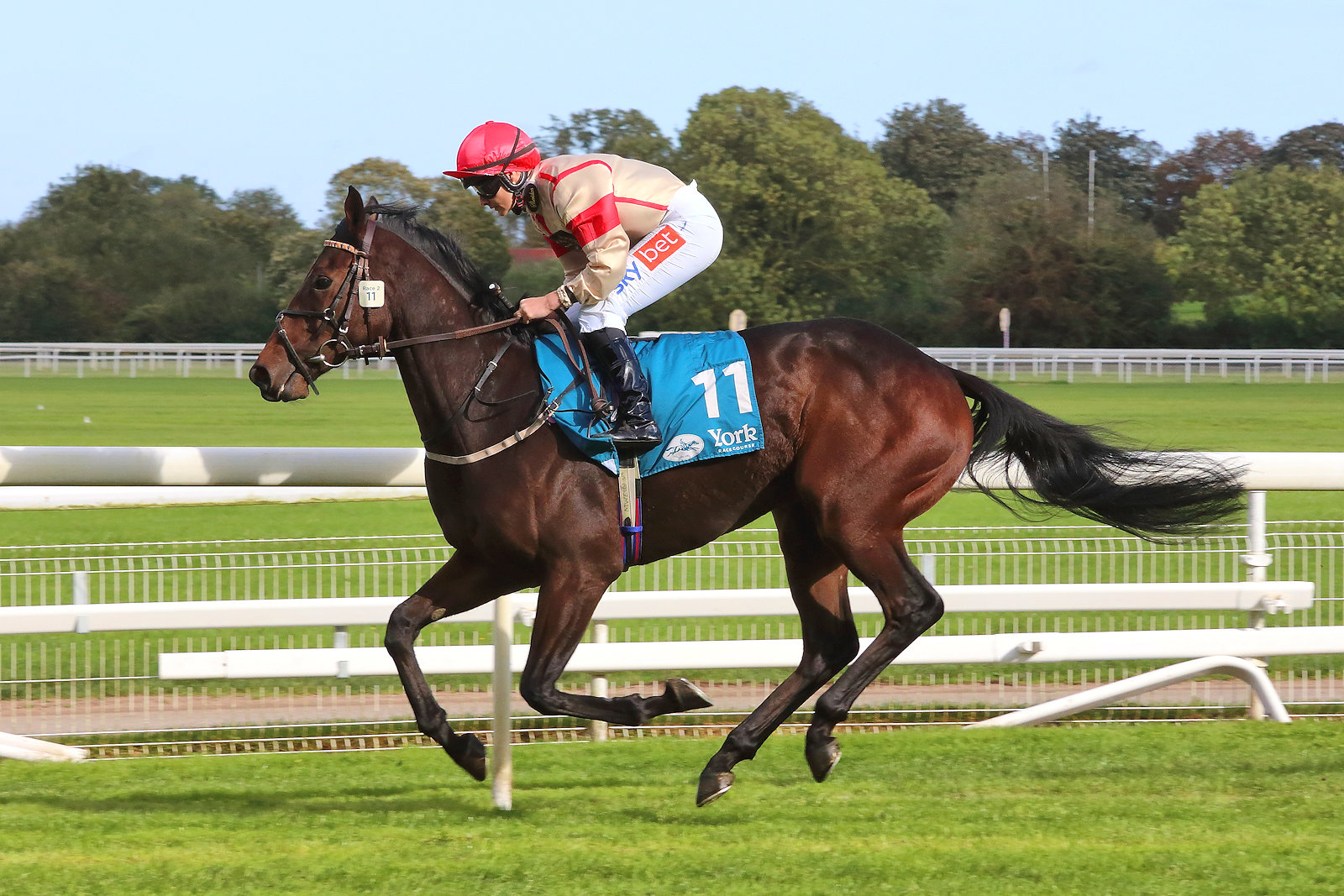 Mick & David Easterby