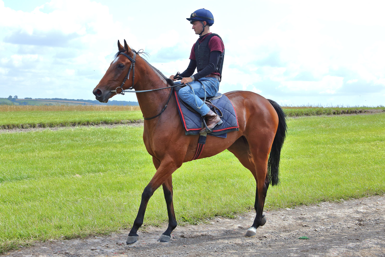 Capla Quest [M & D Easterby]