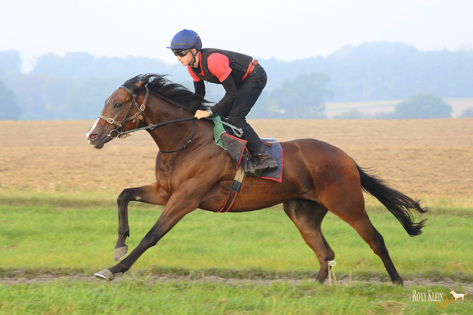 Mick & David Easterby
