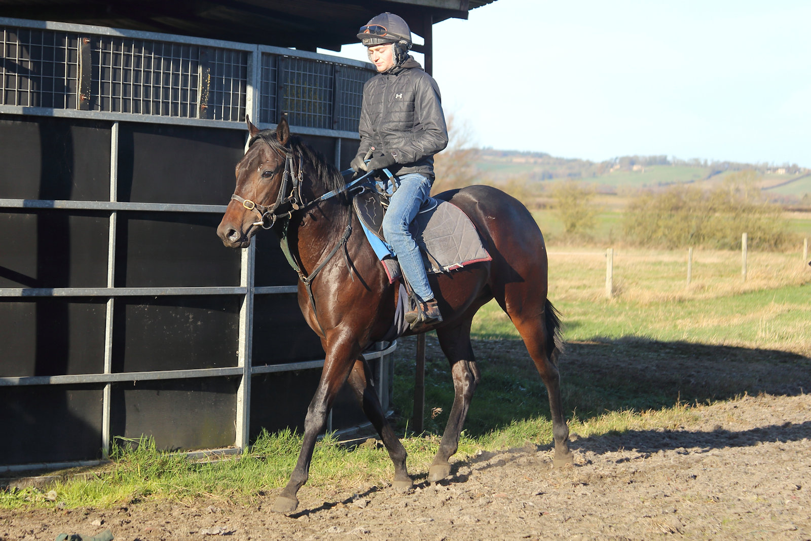Mick & David Easterby