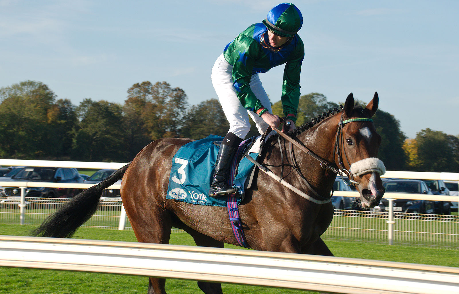 Mick & David Easterby