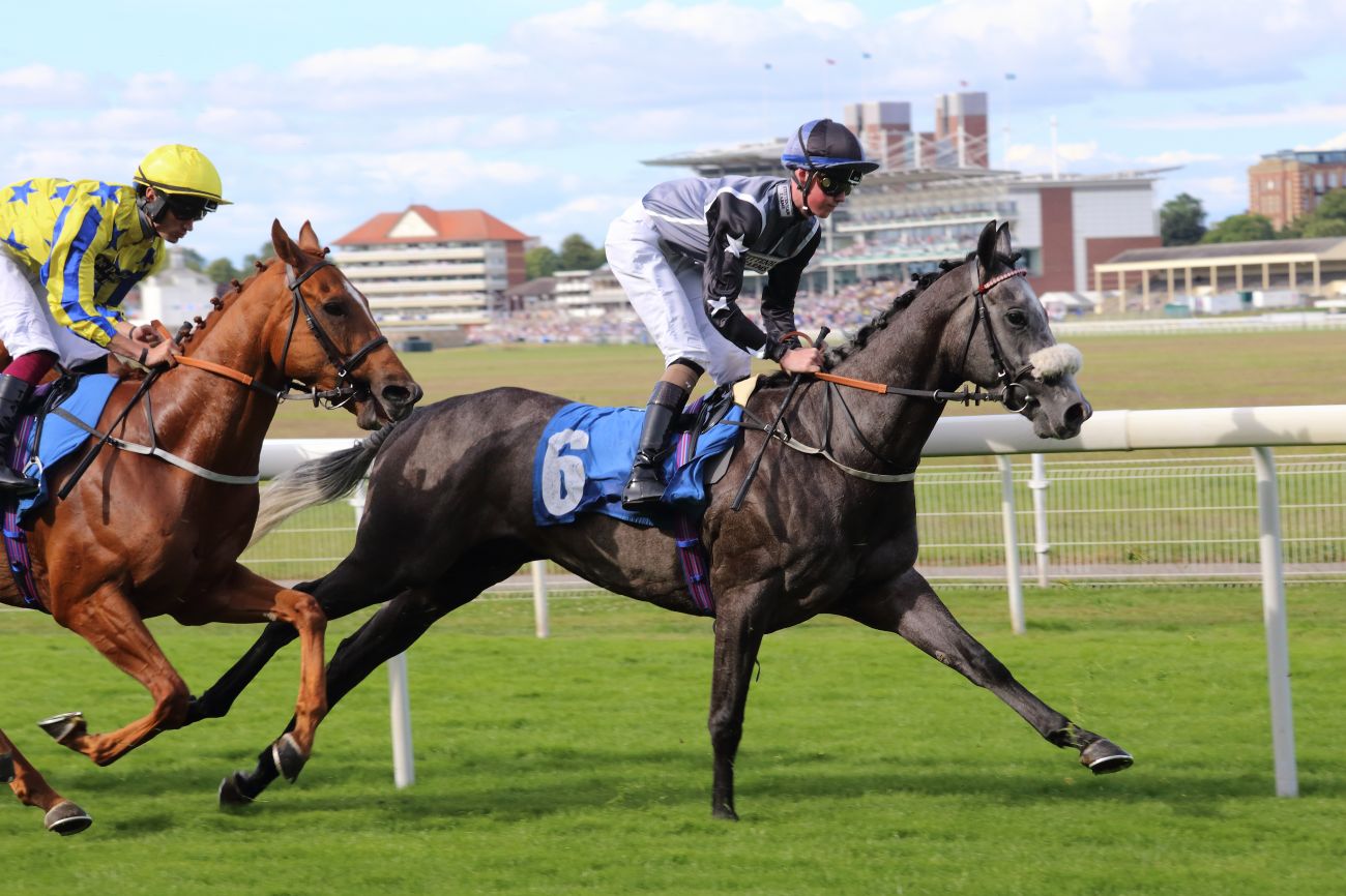 Jazz Samba [M & D Easterby]