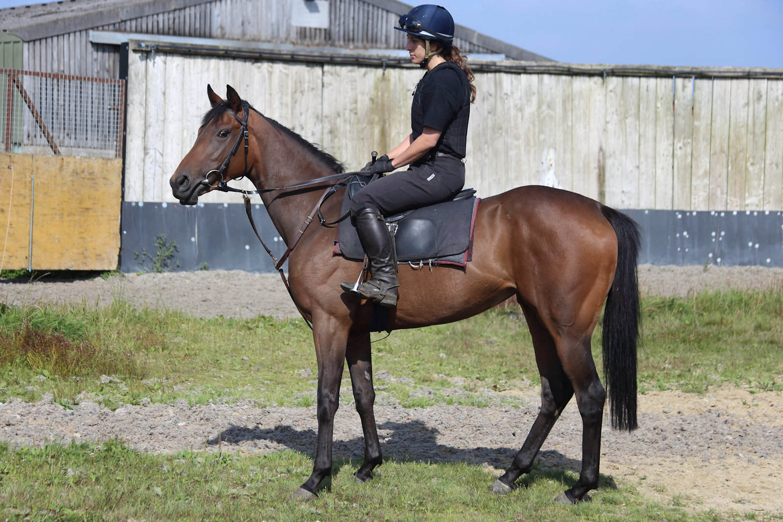 Larchill Lass [M & D Easterby]