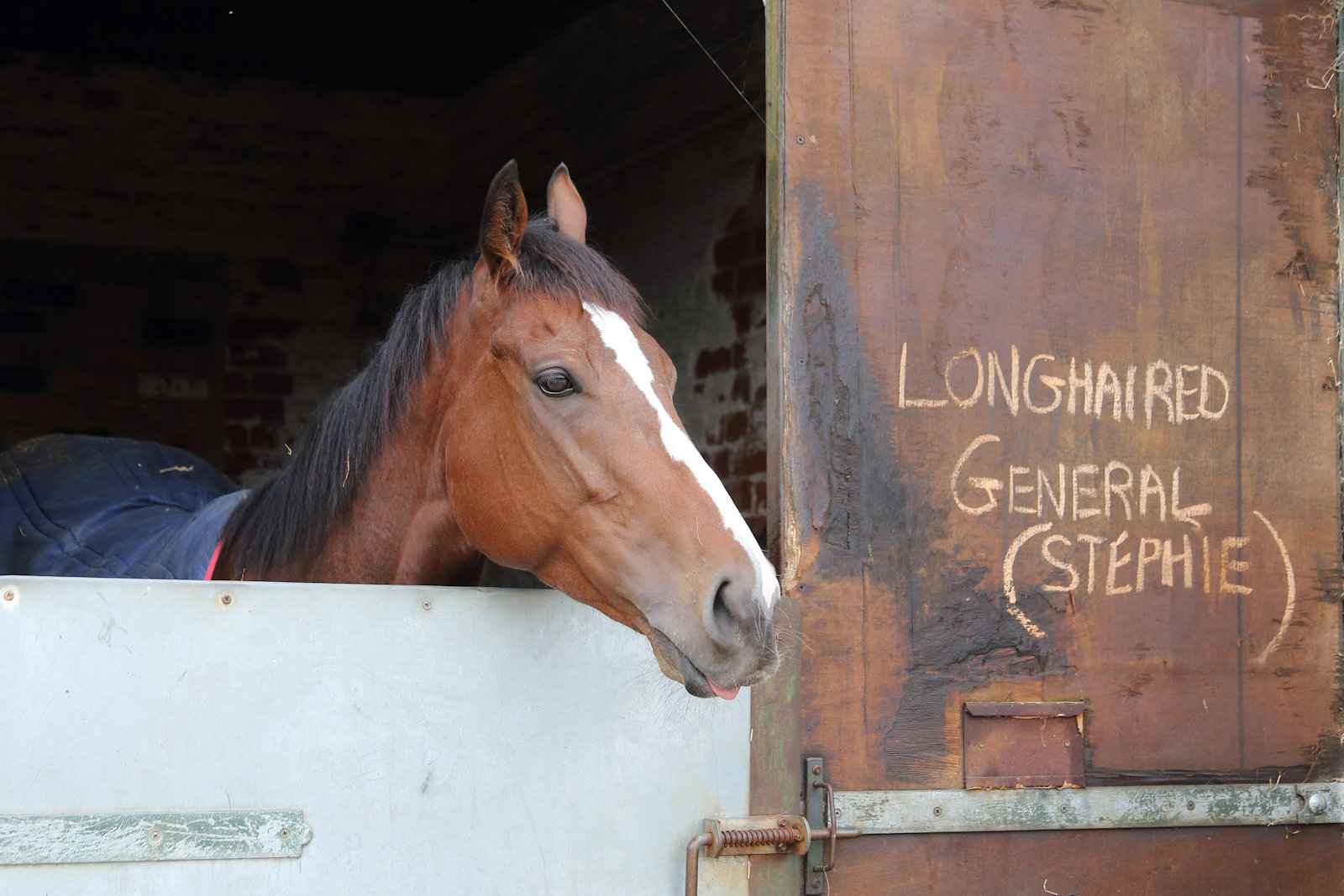 Mick & David Easterby