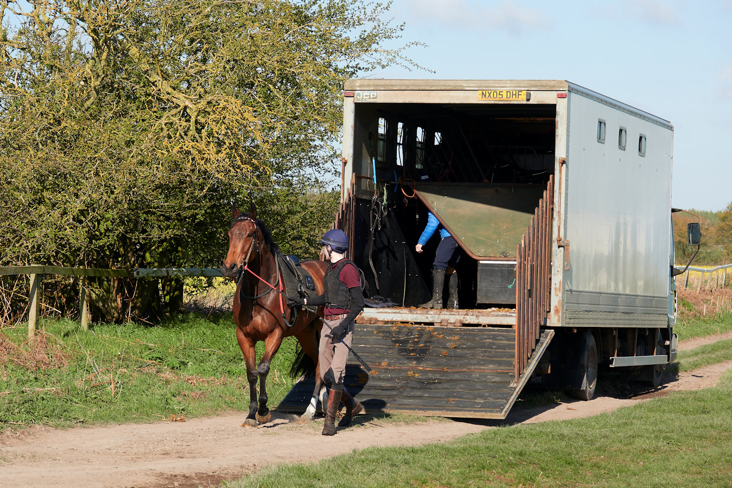 Mick & David Easterby