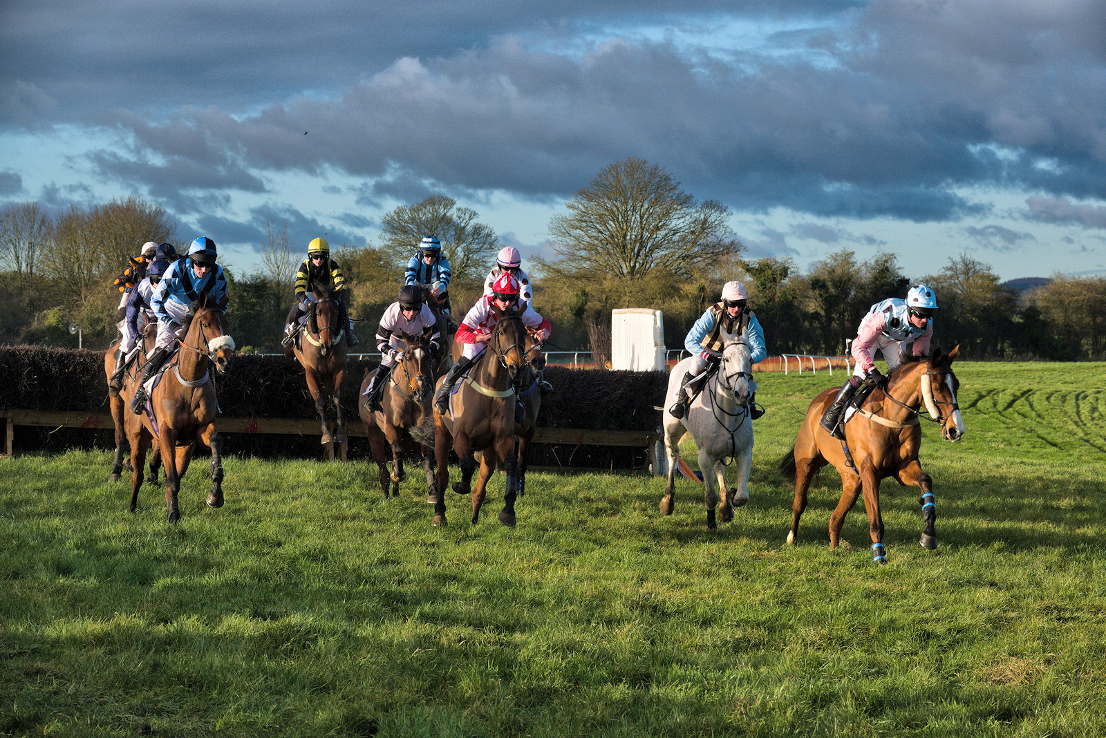 Mick & David Easterby