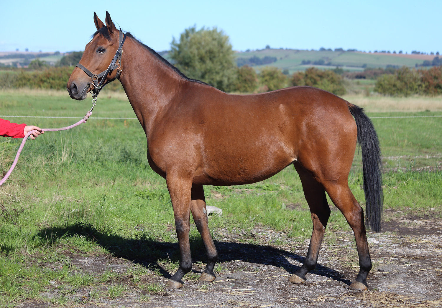 00 On Holiday 21 [M & D Easterby]