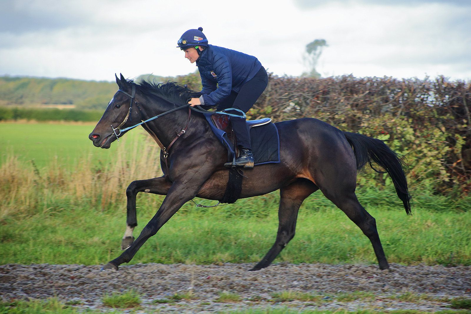 Mick & David Easterby