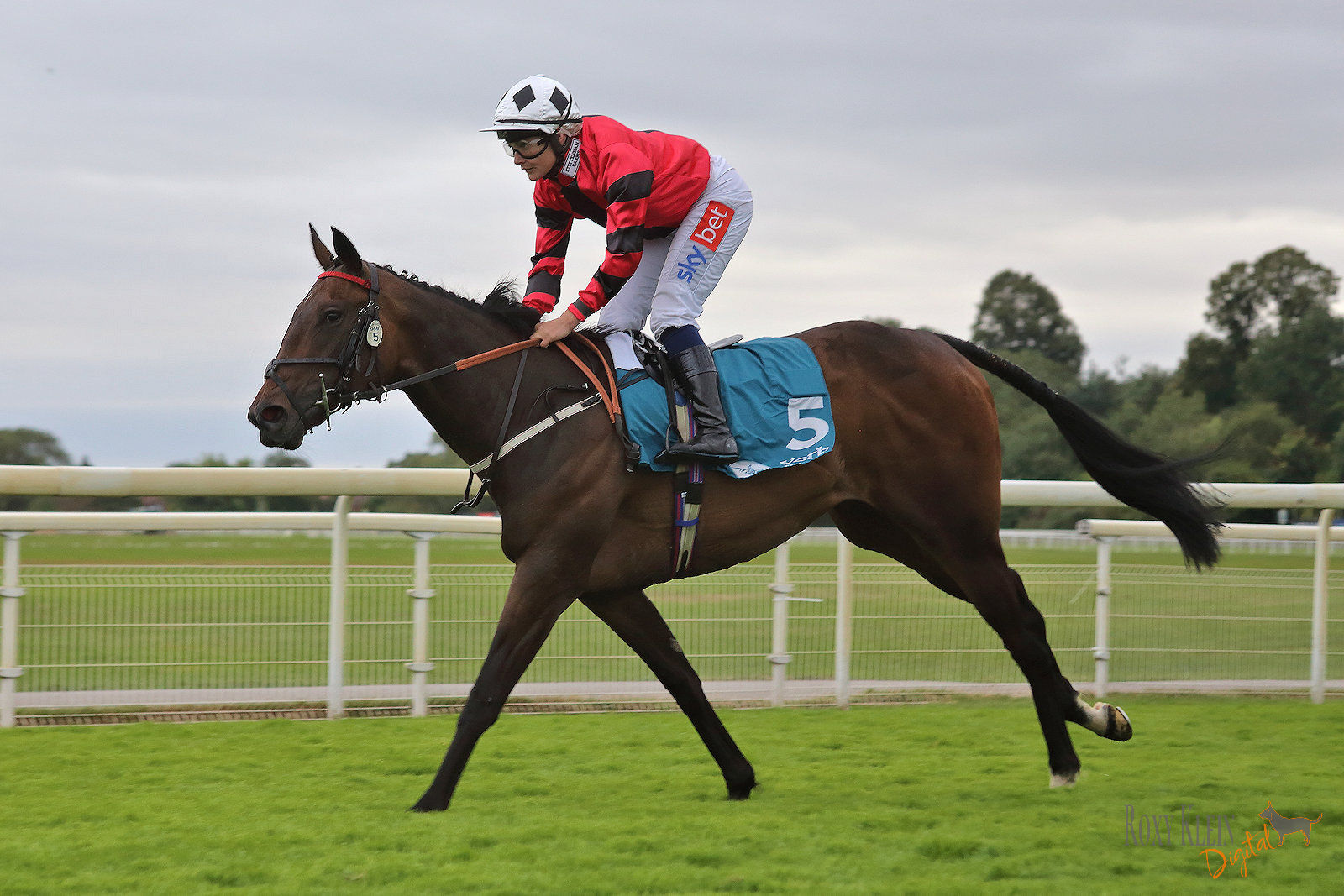 Mick & David Easterby