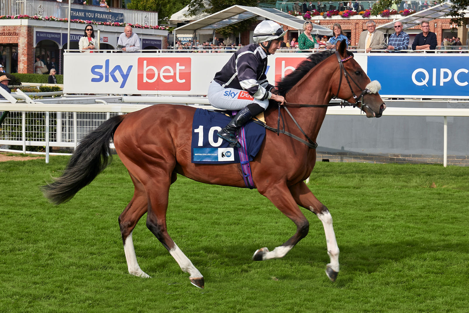 Spirit of Acklam [M & D Easterby]