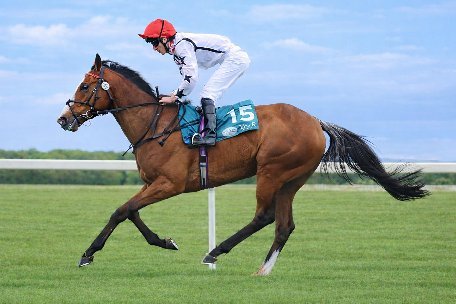 Joanna Mason to ride The Resdev Scholar at York on Saturday