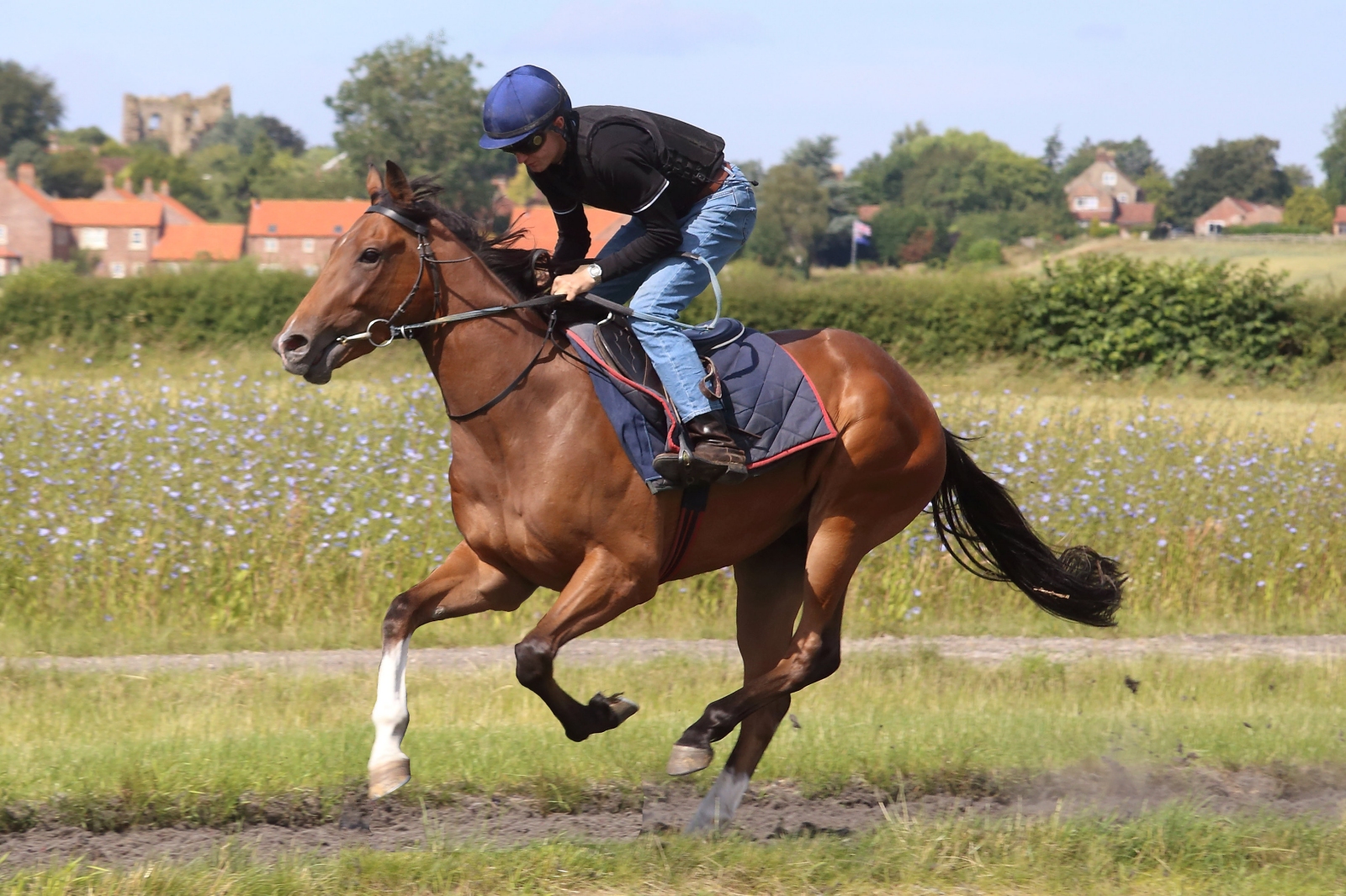 This Years Love [M & D Easterby]