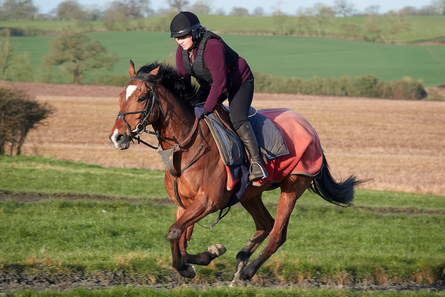 Mick & David Easterby