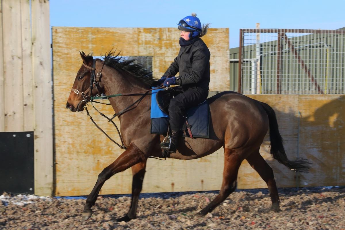 Mick & David Easterby