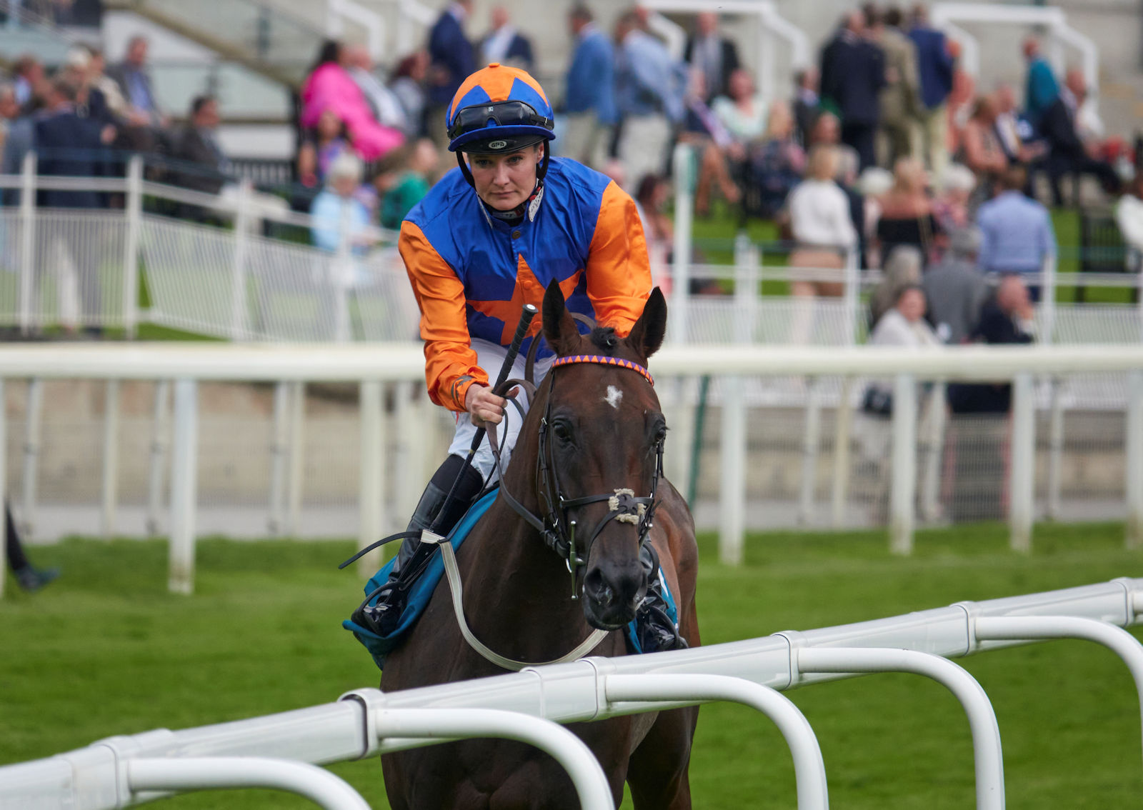 Mick & David Easterby