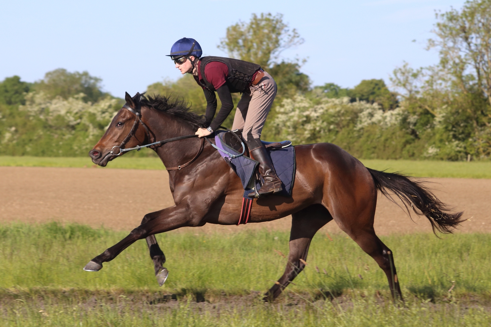 Mick & David Easterby