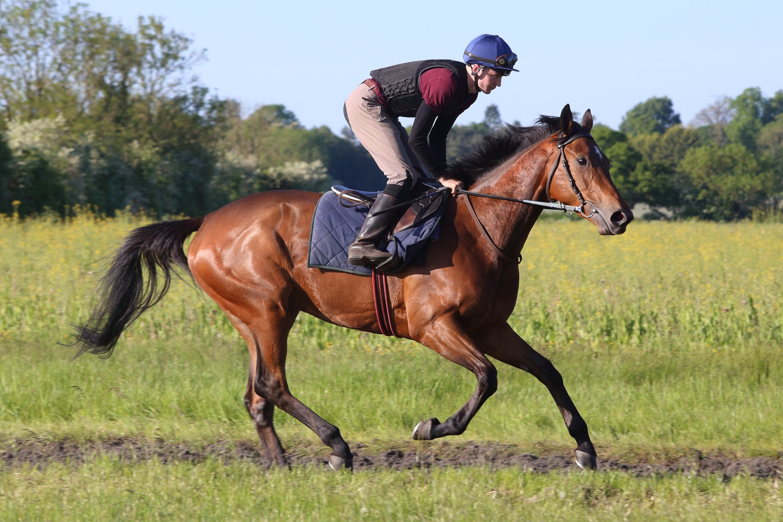 Mick & David Easterby