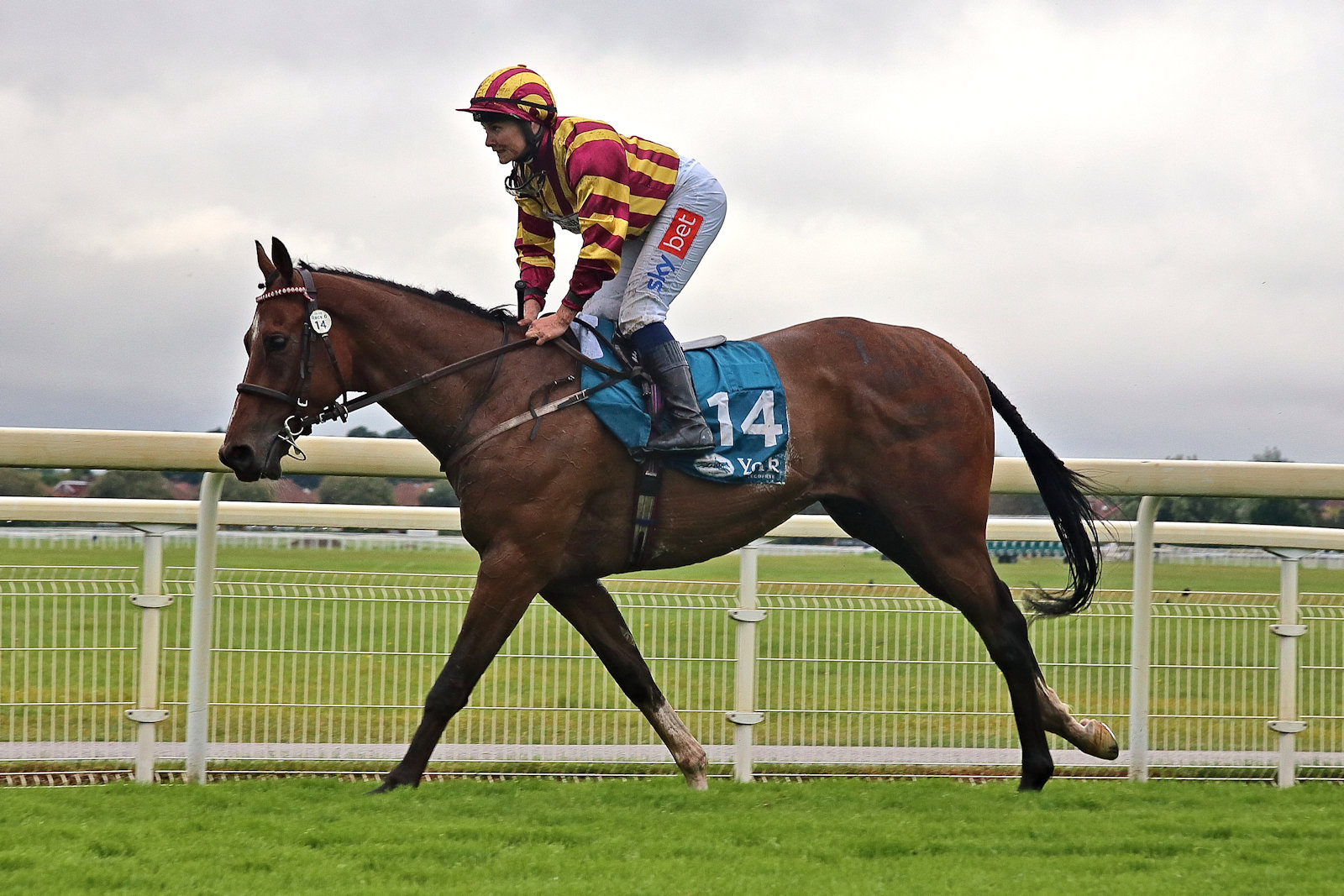 Mick & David Easterby