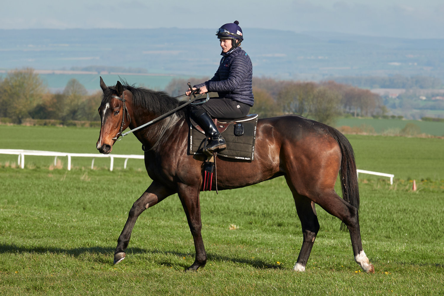 Mick & David Easterby