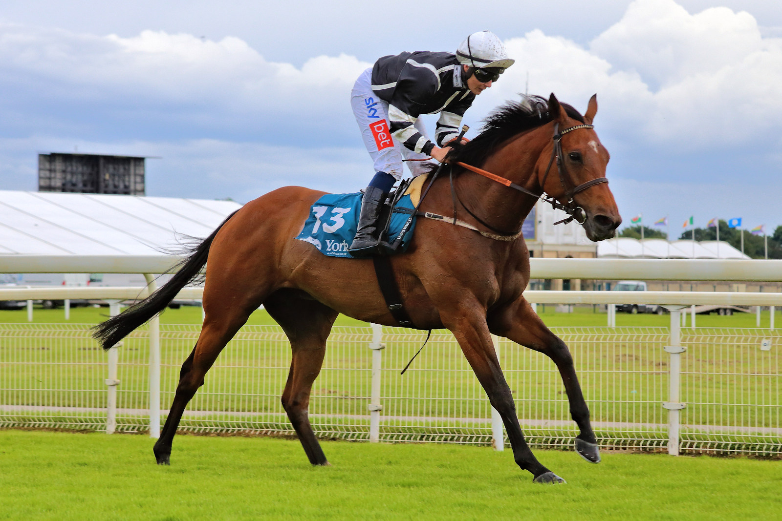 Mick & David Easterby