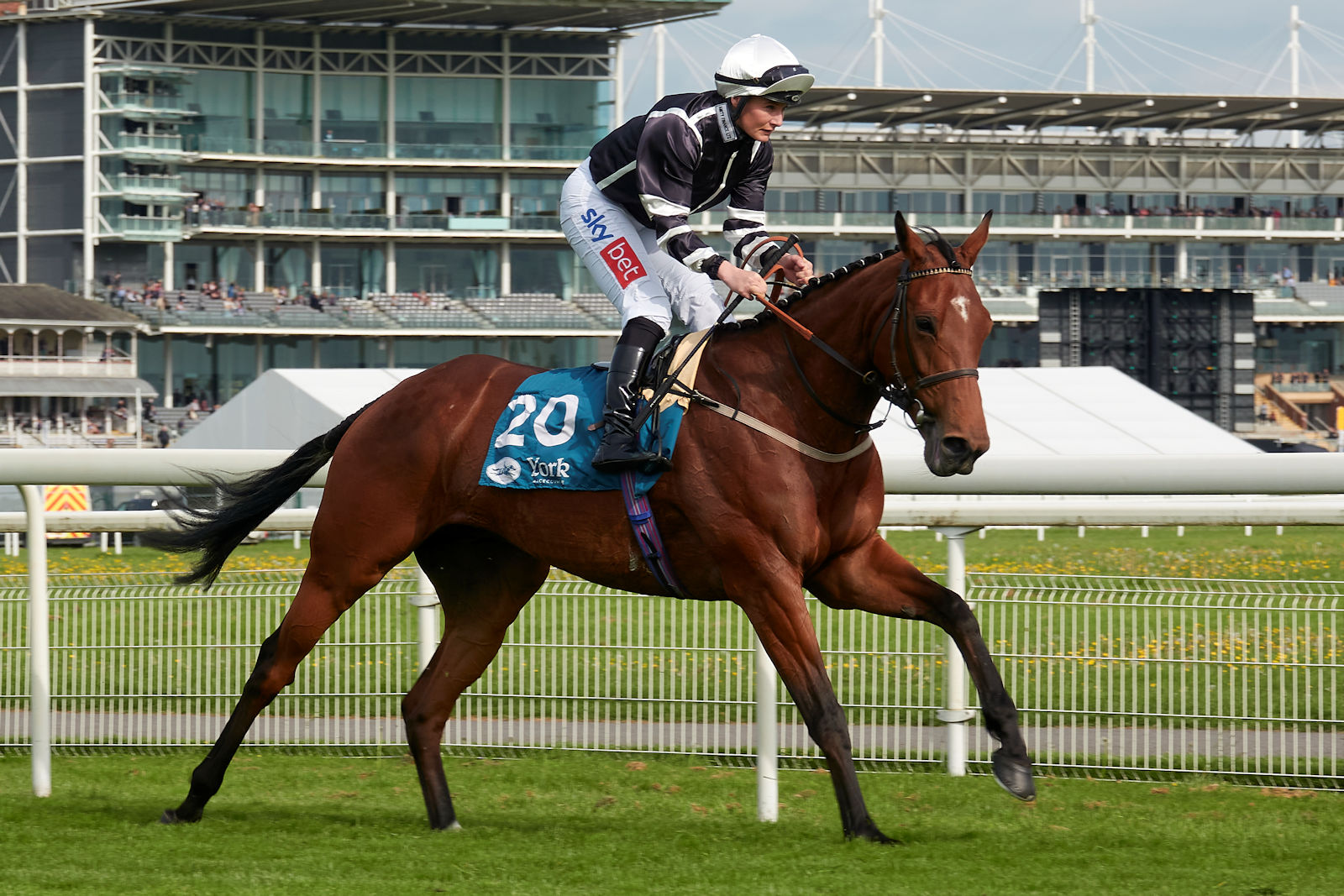 Mick & David Easterby