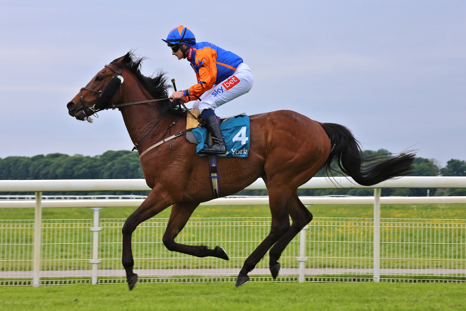 Mick & David Easterby