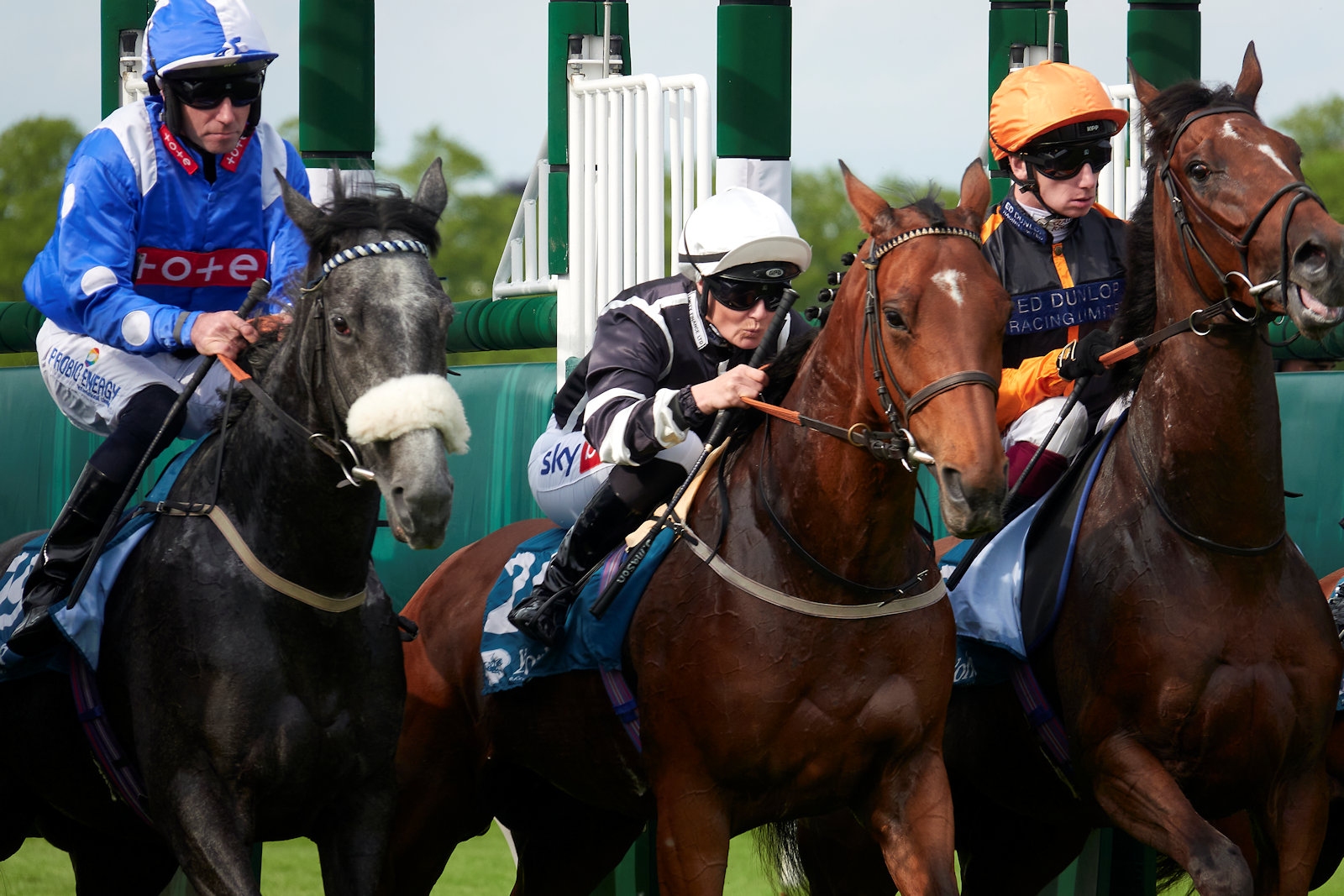 Mick & David Easterby