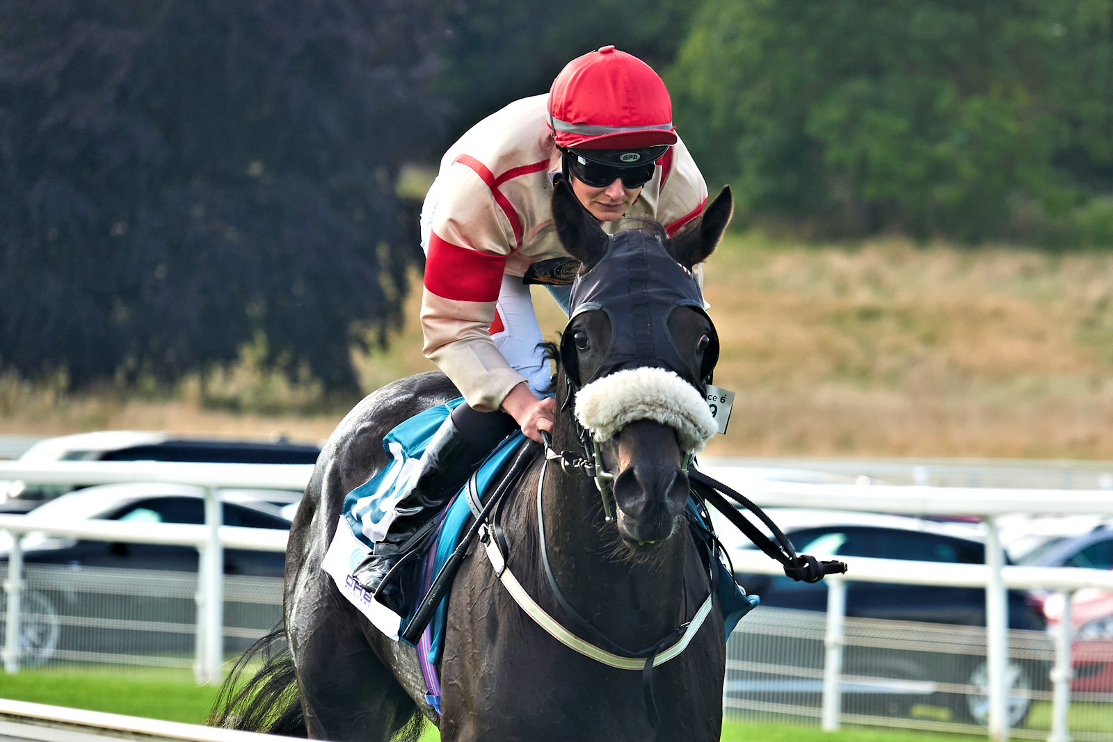 Mick & David Easterby