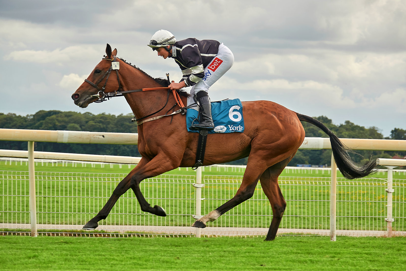 Mick & David Easterby