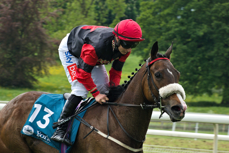 Diligent Resdev [M & D Easterby]