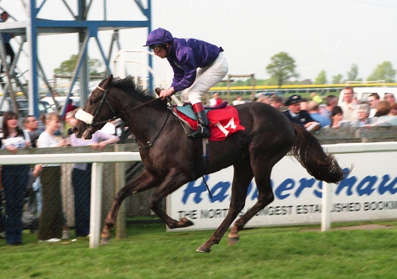 Mick & David Easterby