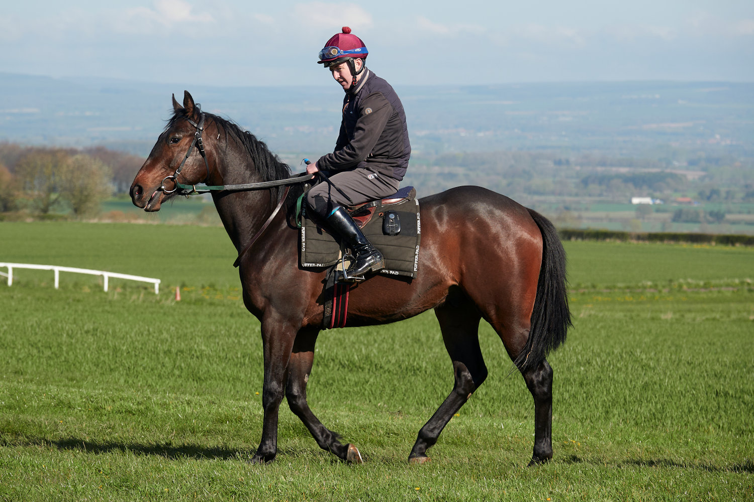 Bargain Basement [M & D Easterby]