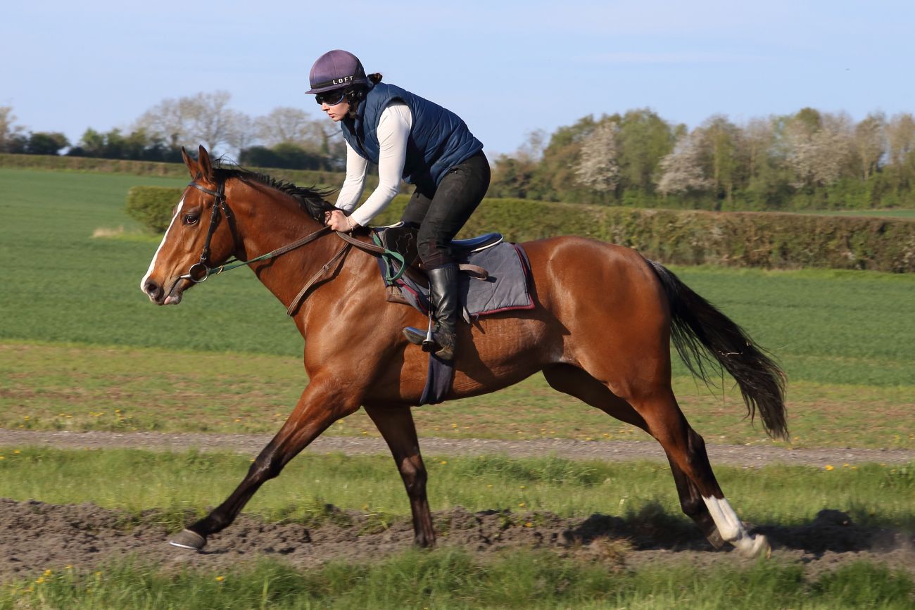 Bay Of Hope [M & D Easterby]