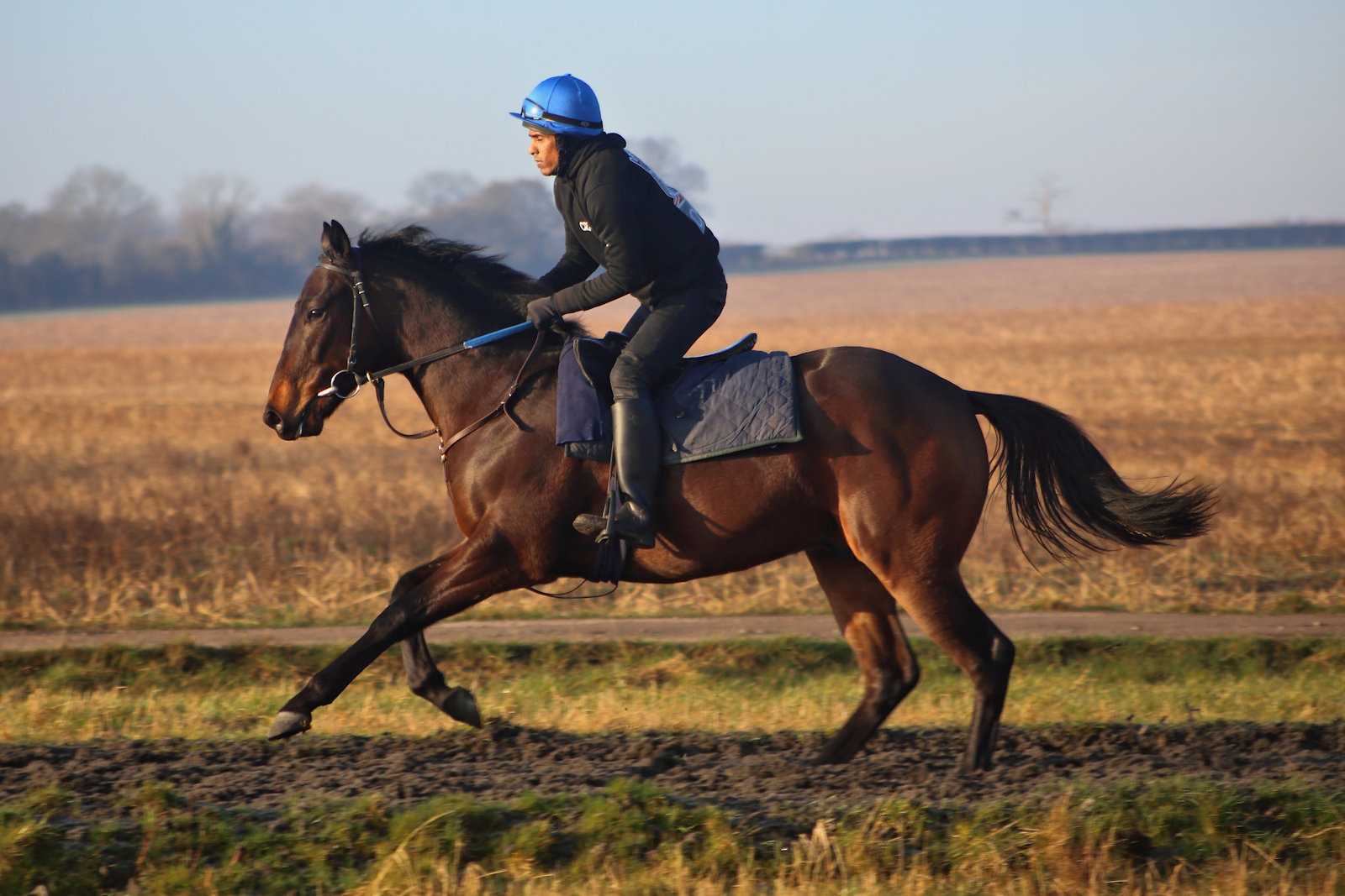 Lamlash Bay [M & D Easterby]