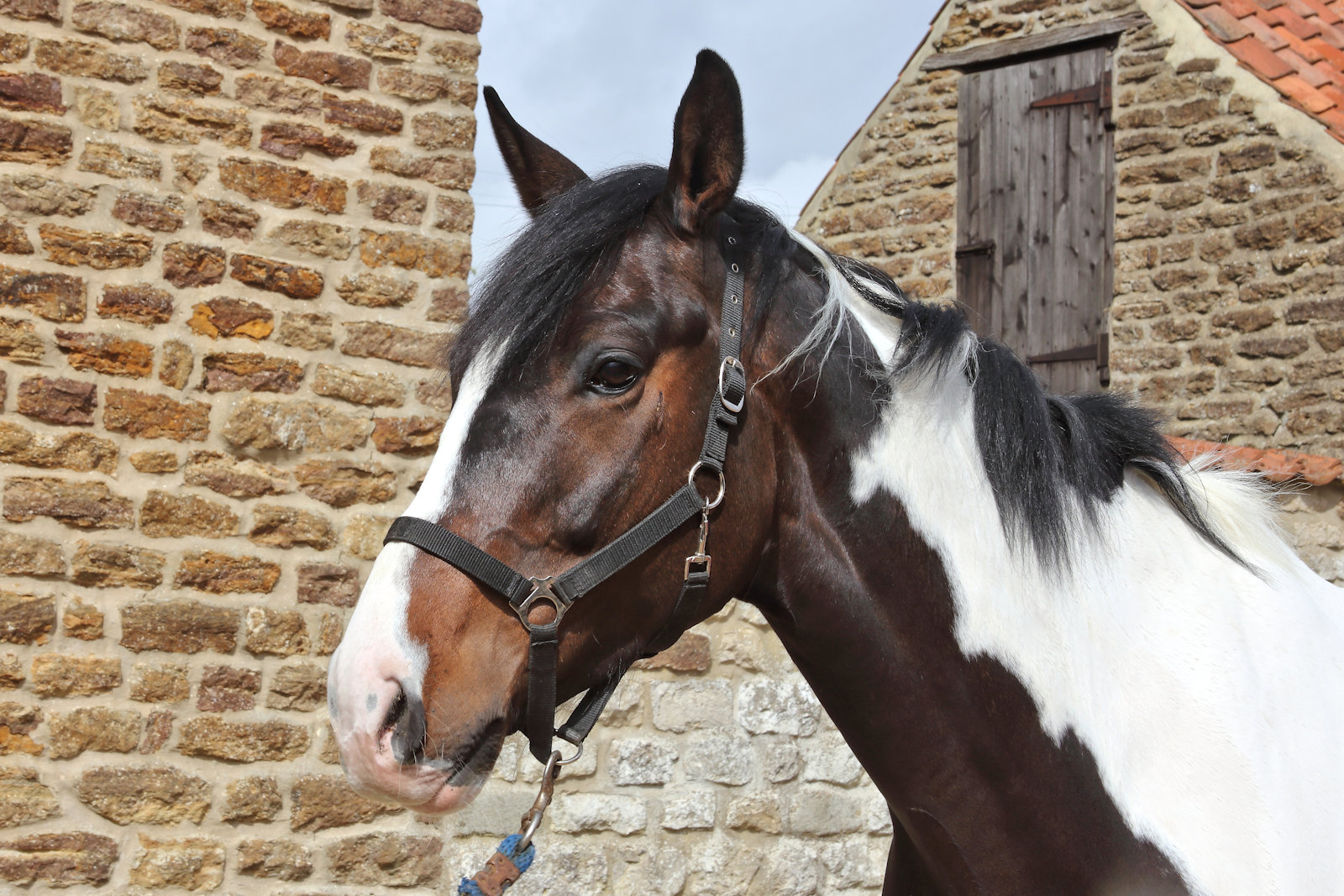 Just A Puzzle [M & D Easterby]