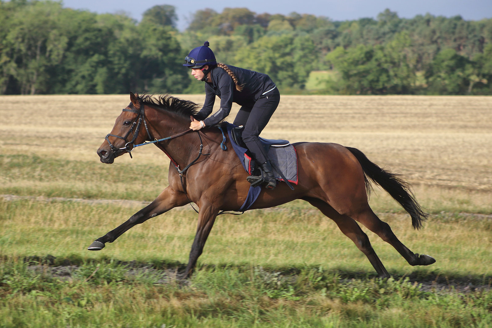 Larchill Lass [M & D Easterby]