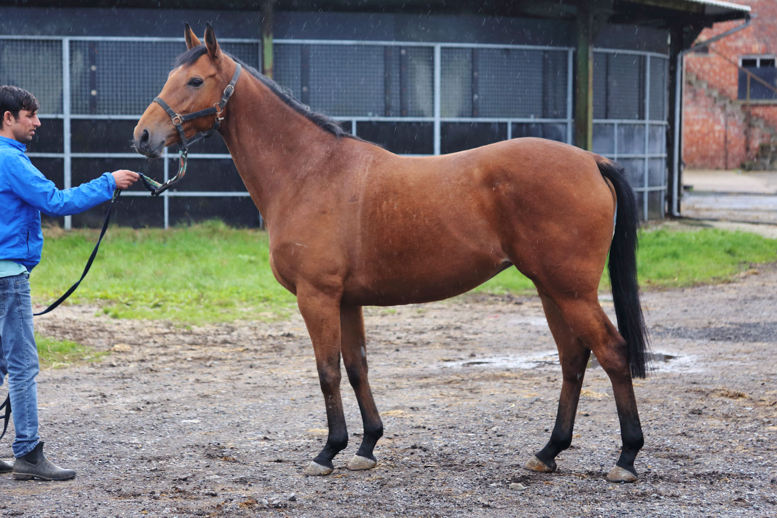 00 On Holiday 21 [M & D Easterby]