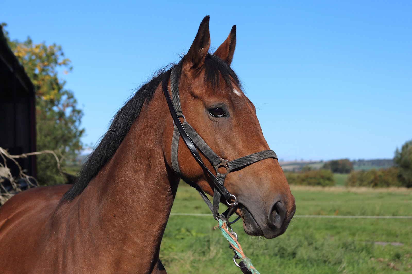 00 On Holiday 21 [M & D Easterby]