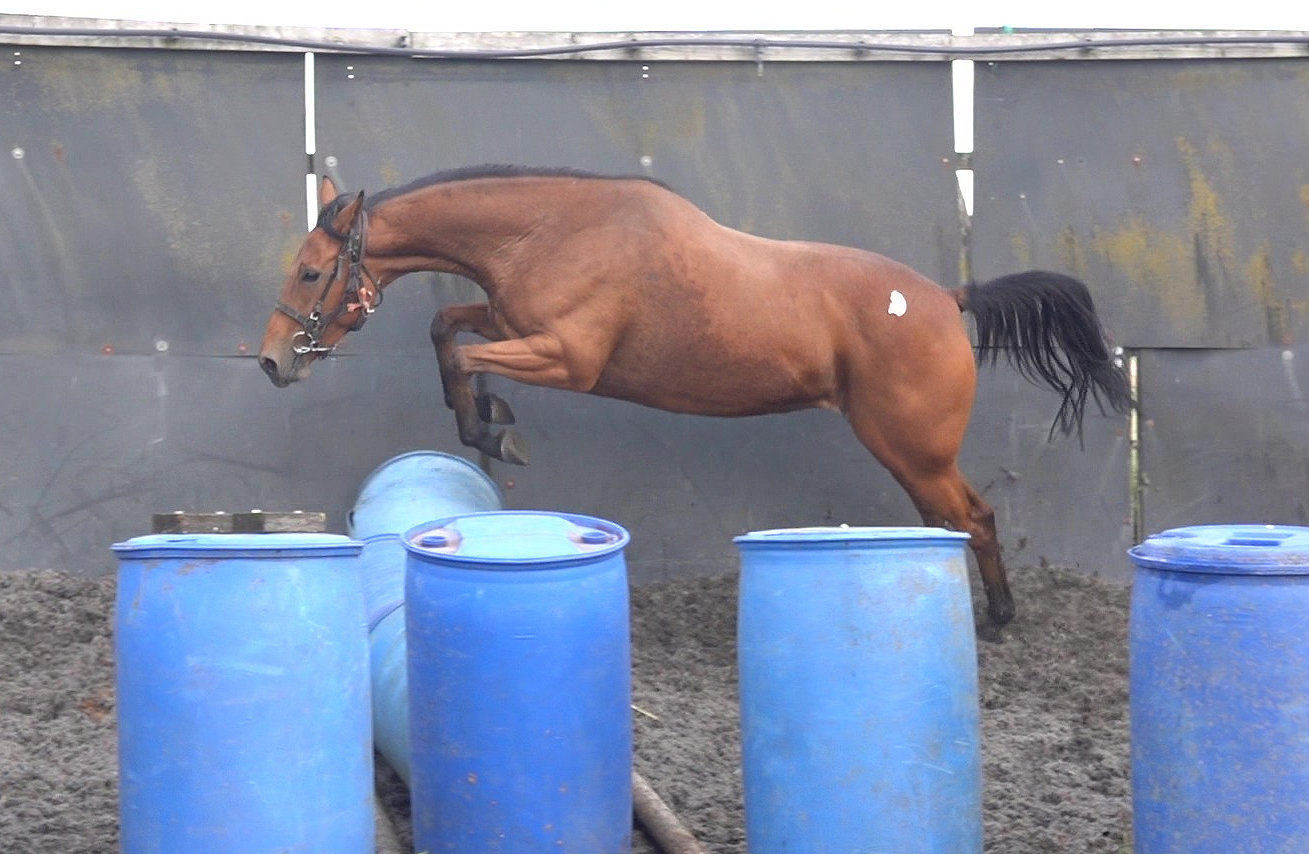 00 On Holiday 21 [M & D Easterby]