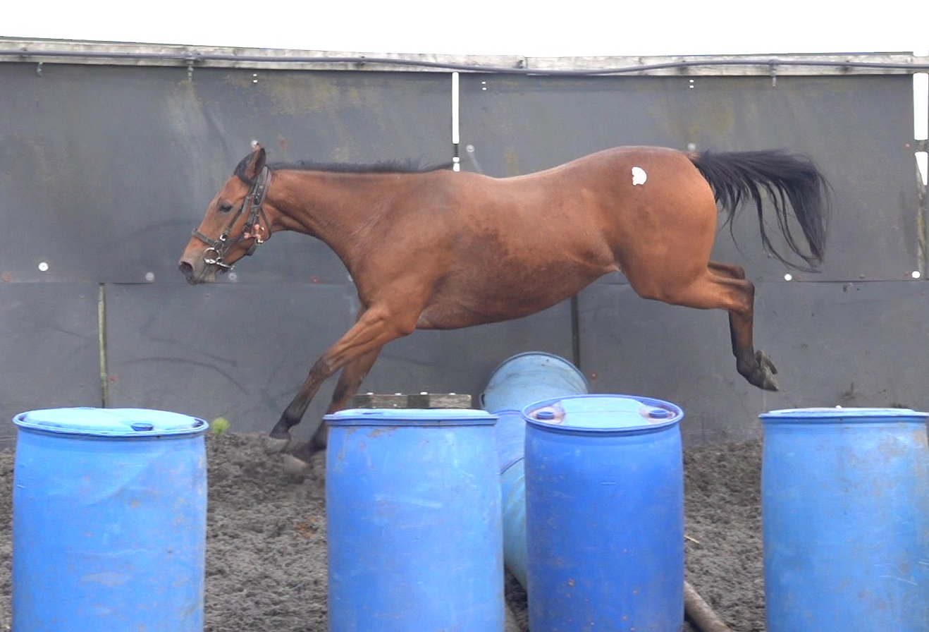 00 On Holiday 21 [M & D Easterby]