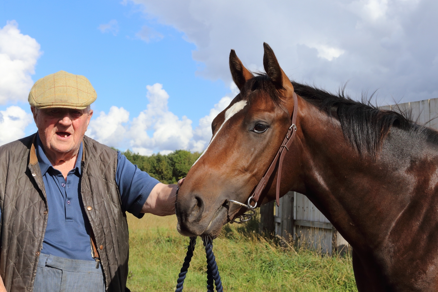 Adaay With Michael [M & D Easterby]