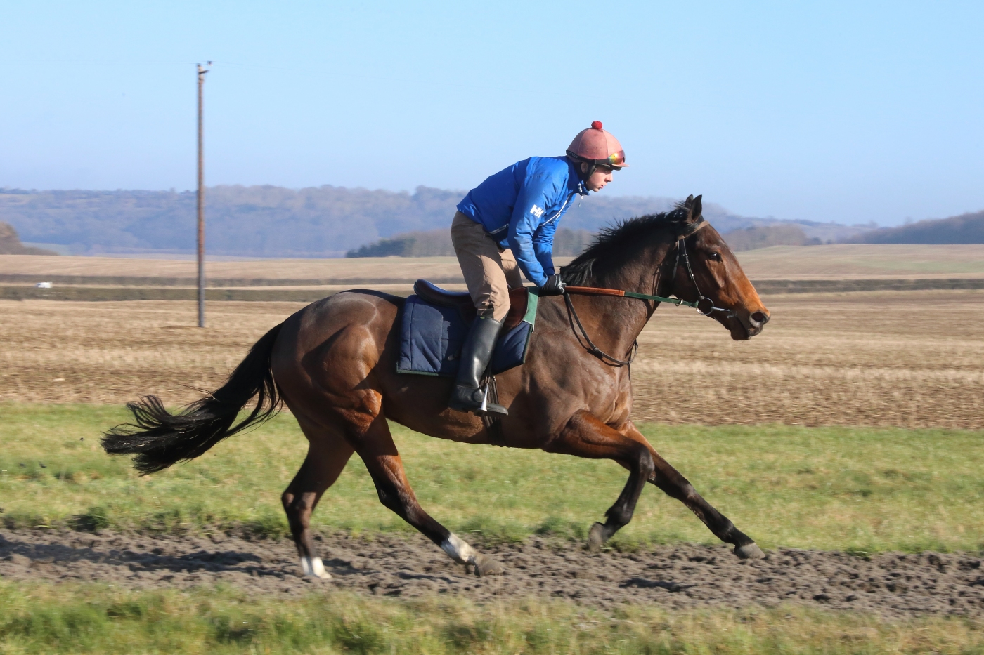 So Grateful [M & D Easterby]