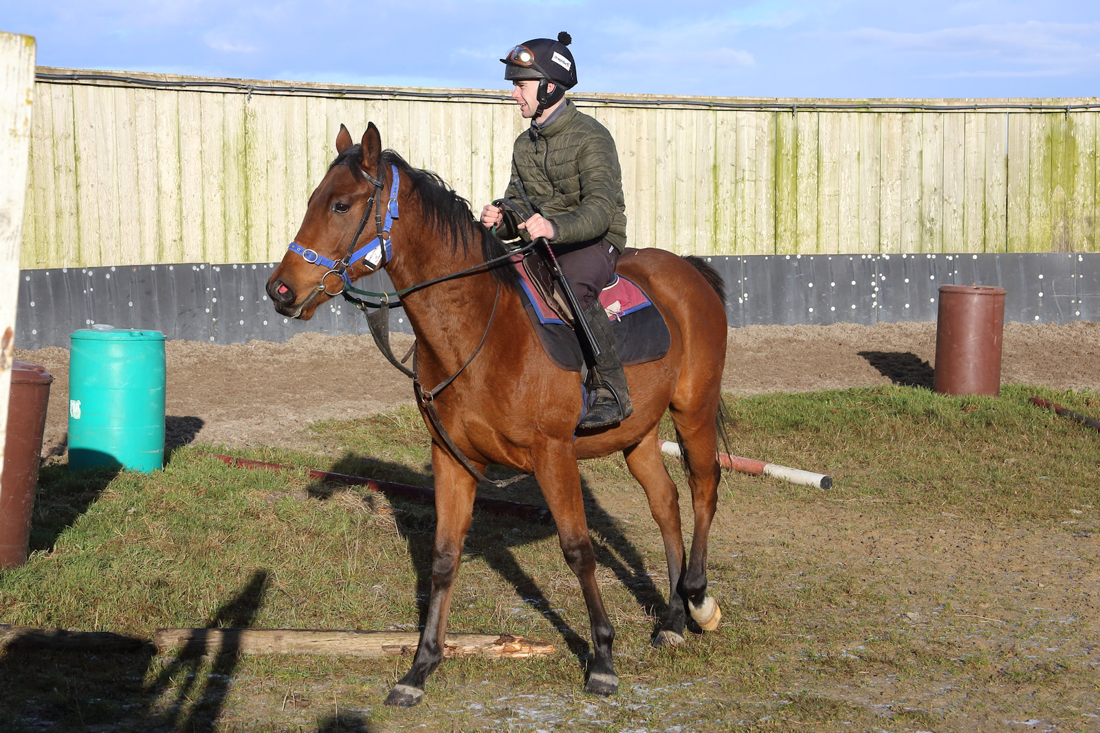 Frankyboy [M & D Easterby]