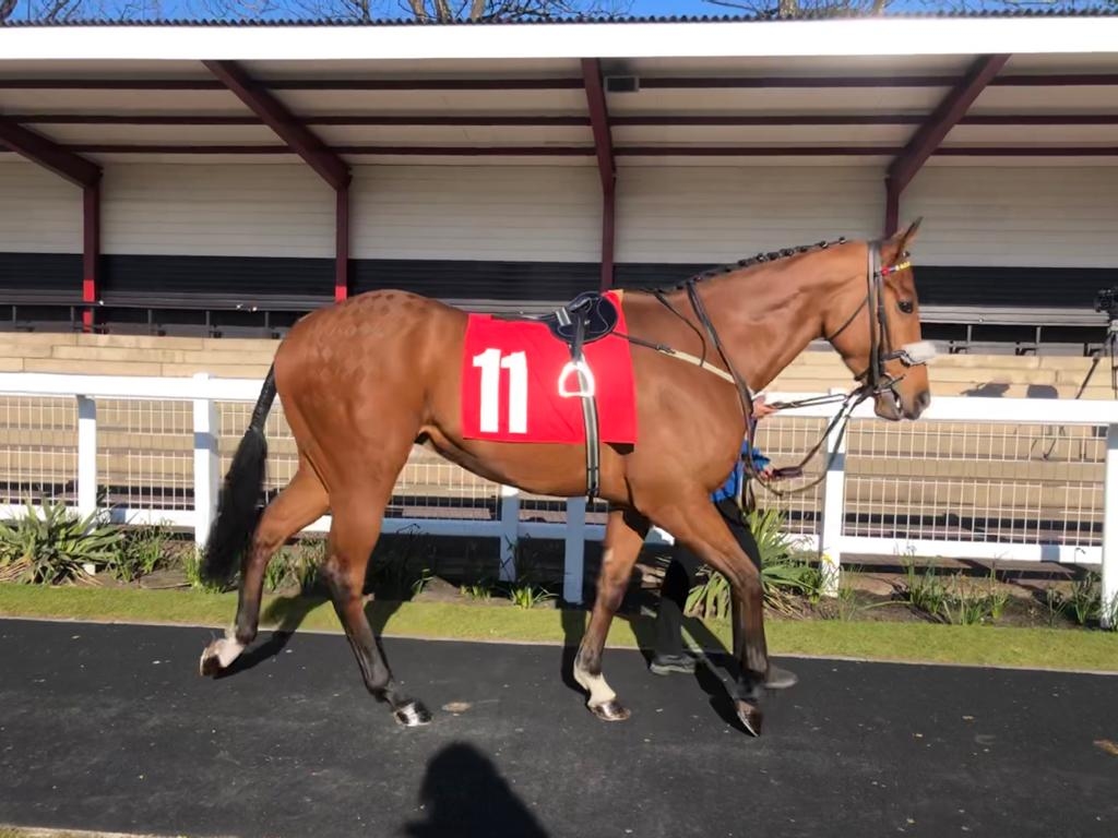 Whitwell [M & D Easterby]