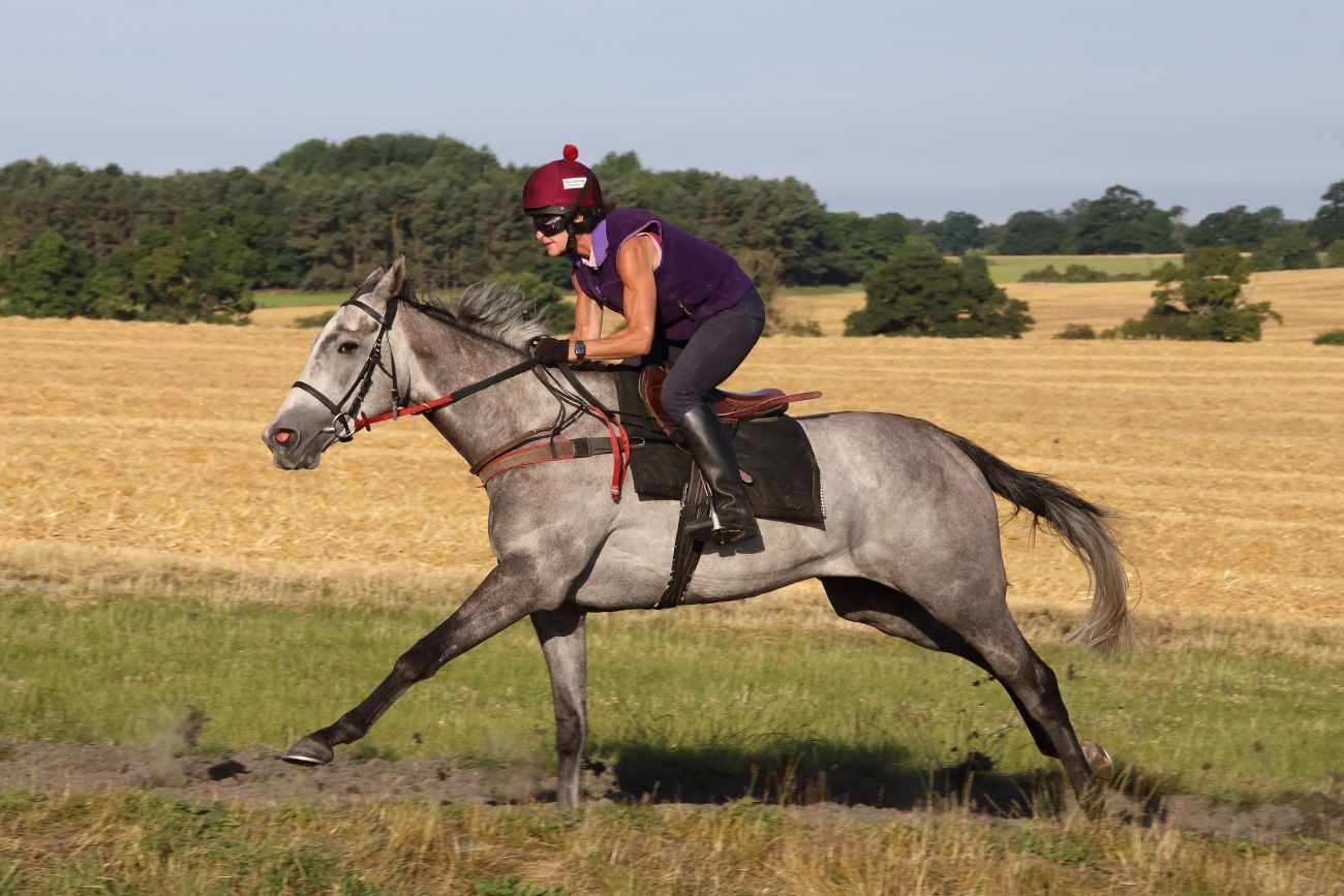 Yorkshire Lady [M & D Easterby]