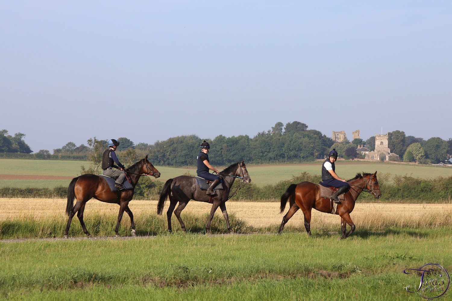 Mick & David Easterby