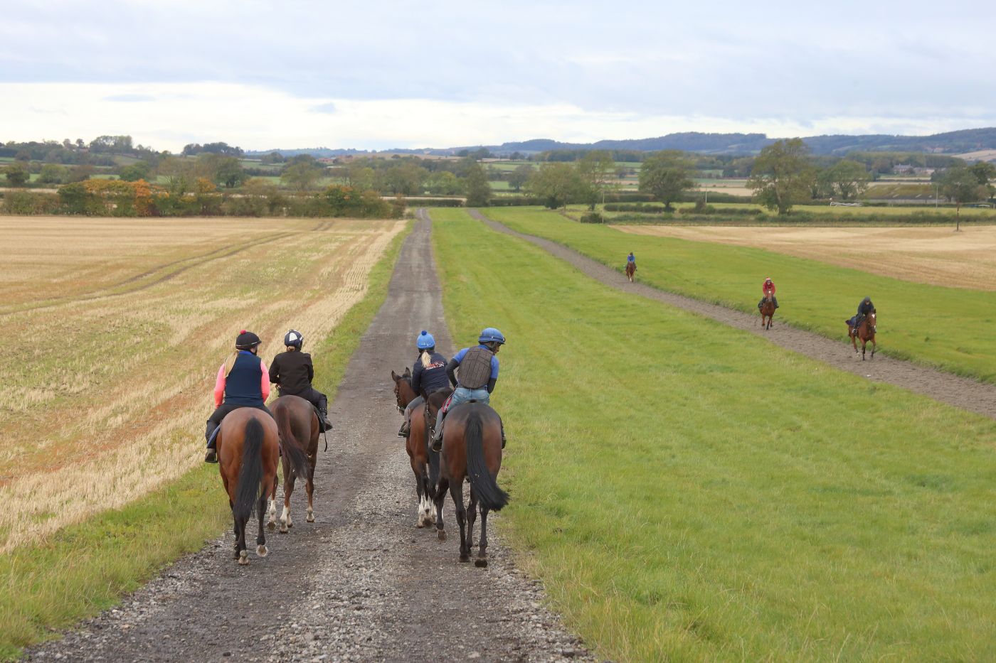 Mick & David Easterby